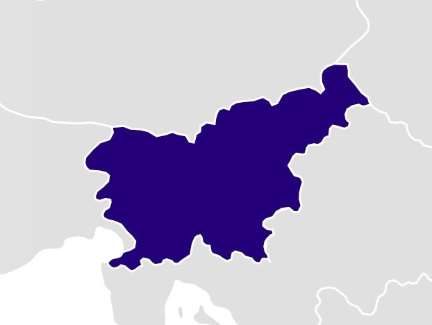 Obveznice RS za fizične osebe